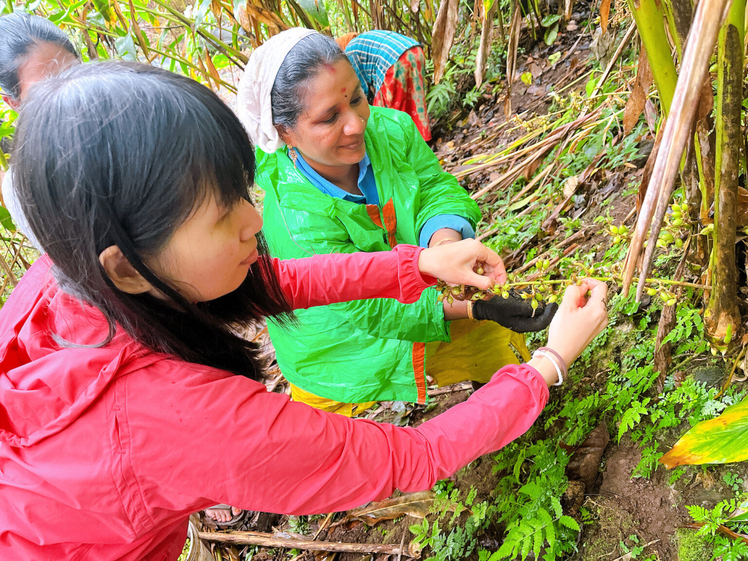 Services - Spiceful Co.